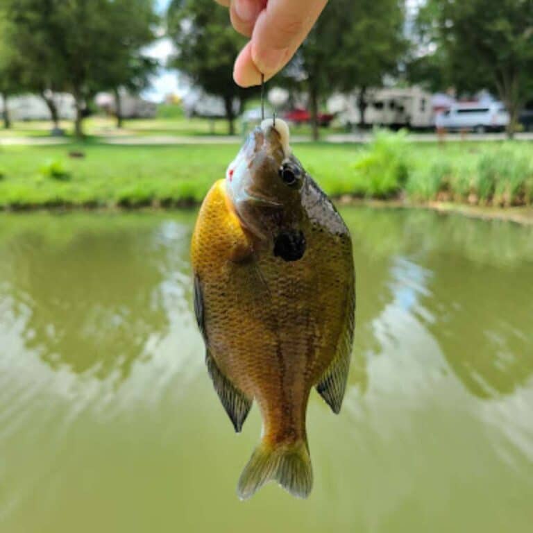 Beyonder Getaway Rising Sun - Rising Sun, Indiana RV Park